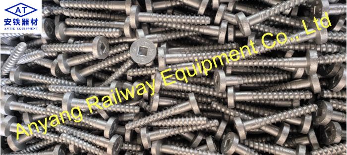 Chinese M22×170 Sleeper Screw Spikes for Railway Rail Fastening System ...
