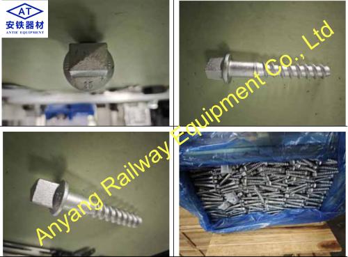 M24×160 Railway Sleeper Screw Spike Made in China--Railway Rail ...